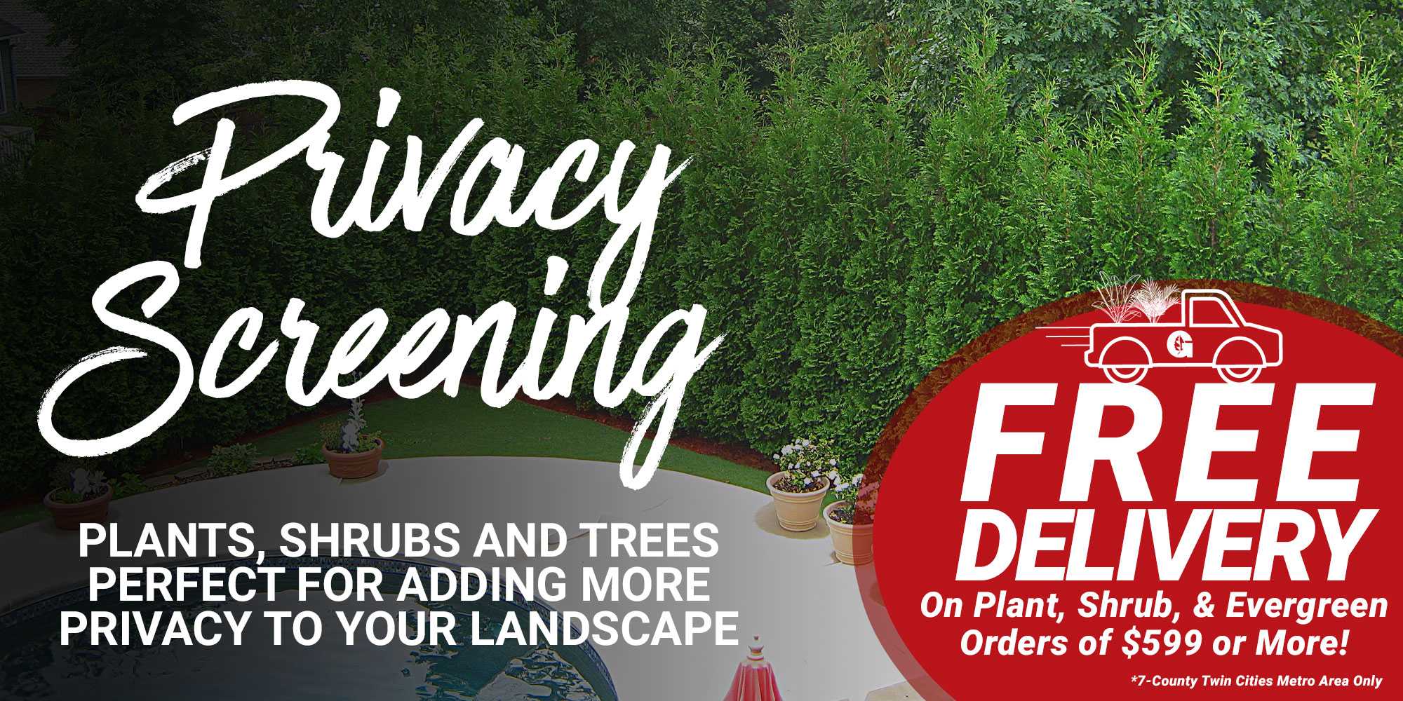 Privacy Screening Plants - Trees & Shrubs