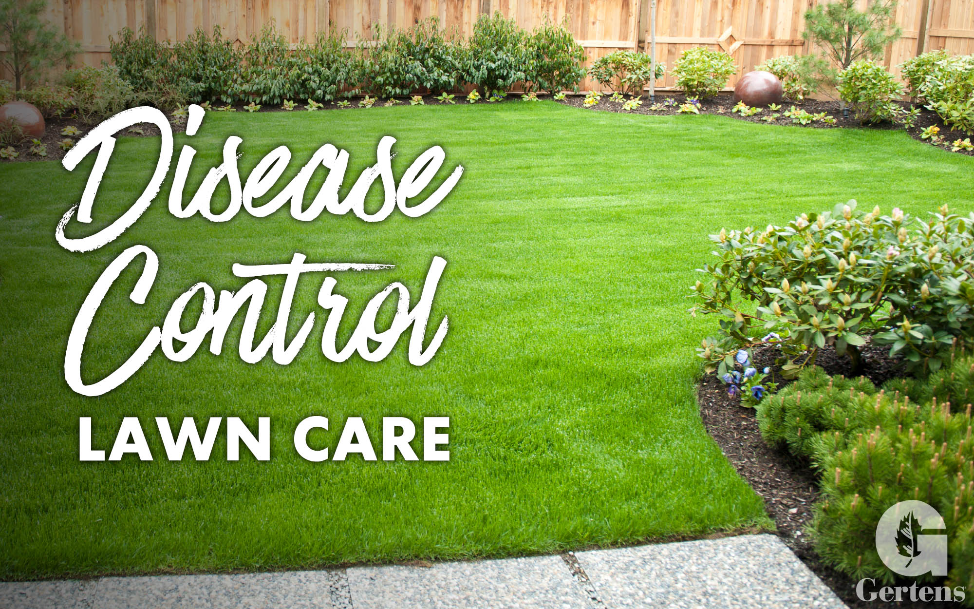 Lawn Disease Control | Lawn Disease Treatment | Gertens