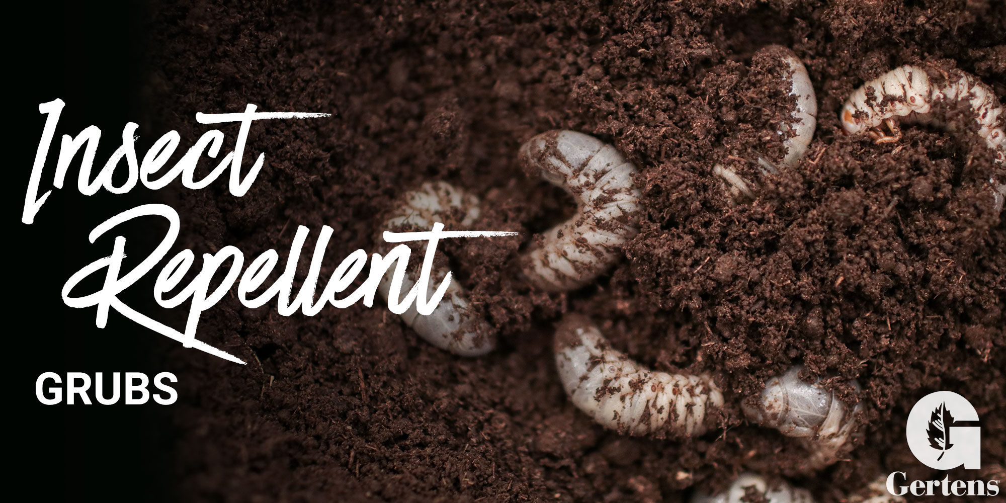 Lawn Grub Control | Lawn Grub Killer & Control Products | Gertens