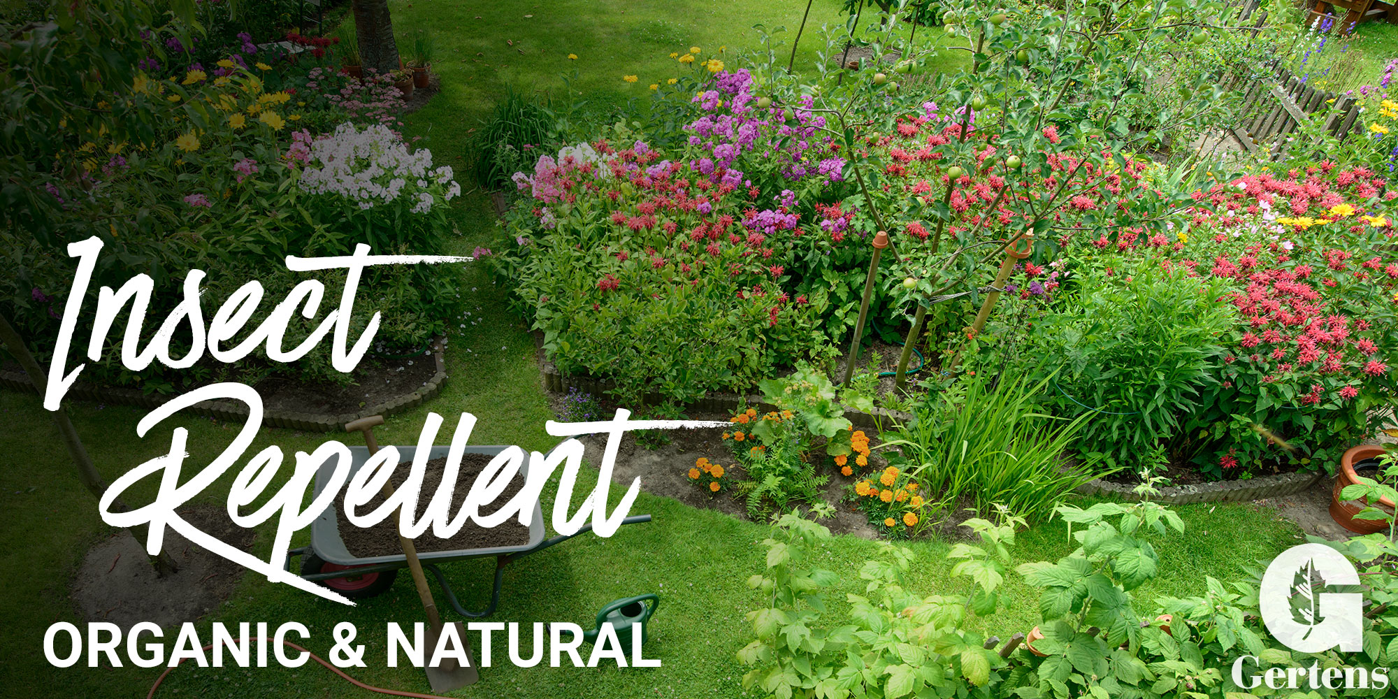 Organic or Natural Insect Control | Gertens