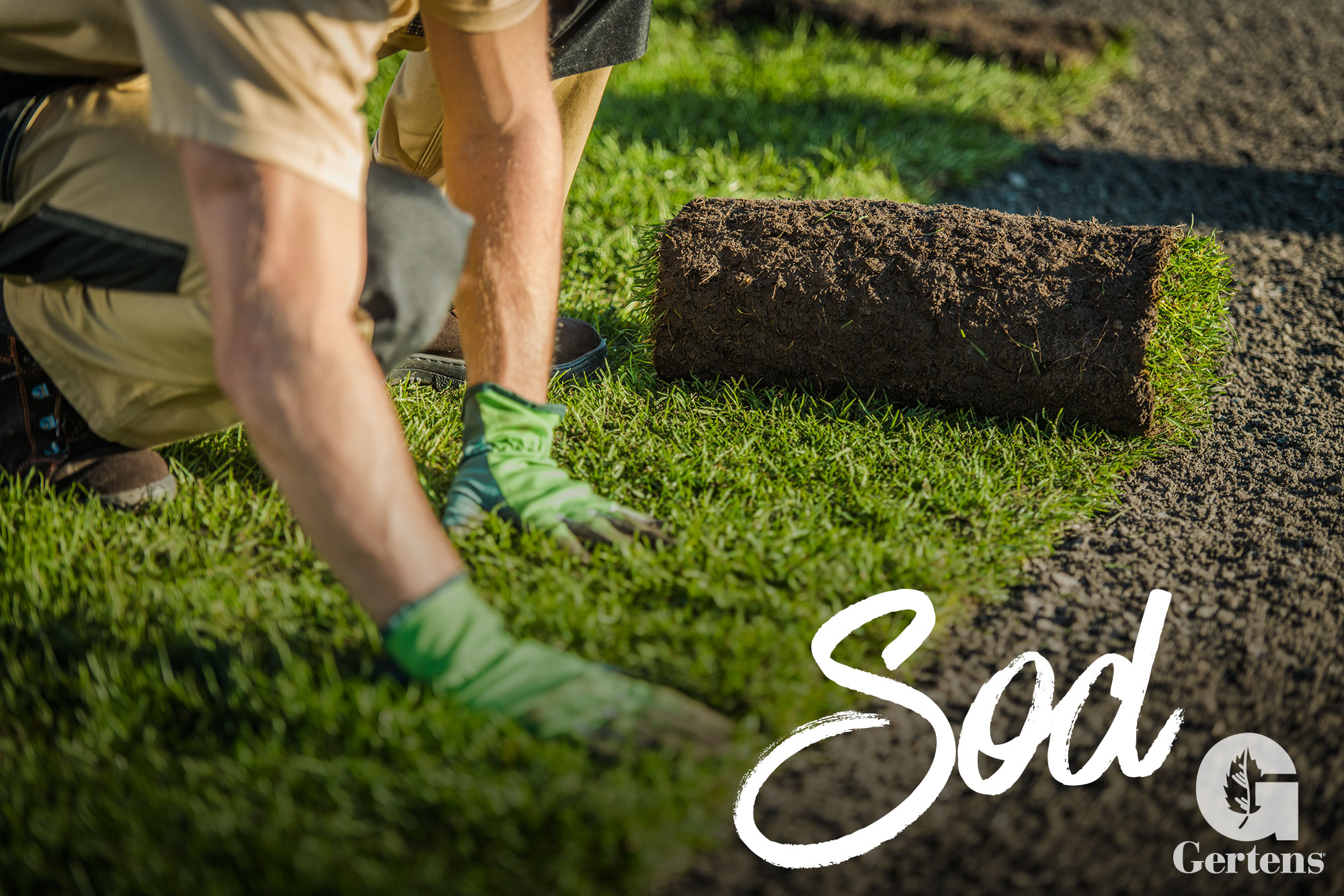 Sod | Sod Grass for 6 County Metro Area, MN | Gertens