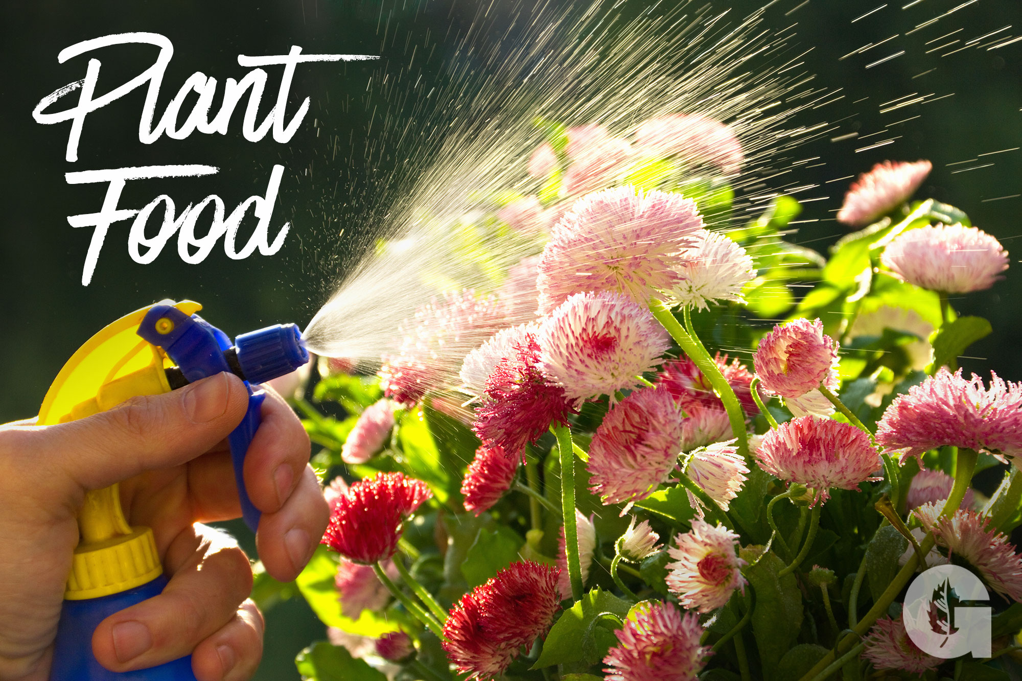 Plant Food - Fertilizer - Lawn & Garden