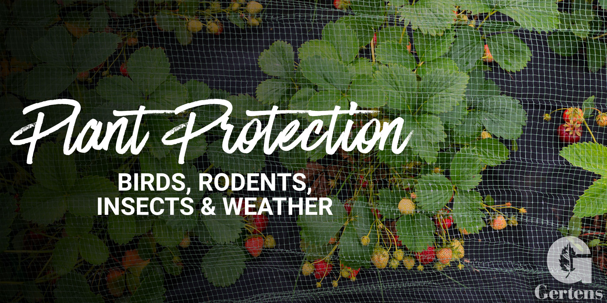 Plant Protection & Netting - Lawn & Garden