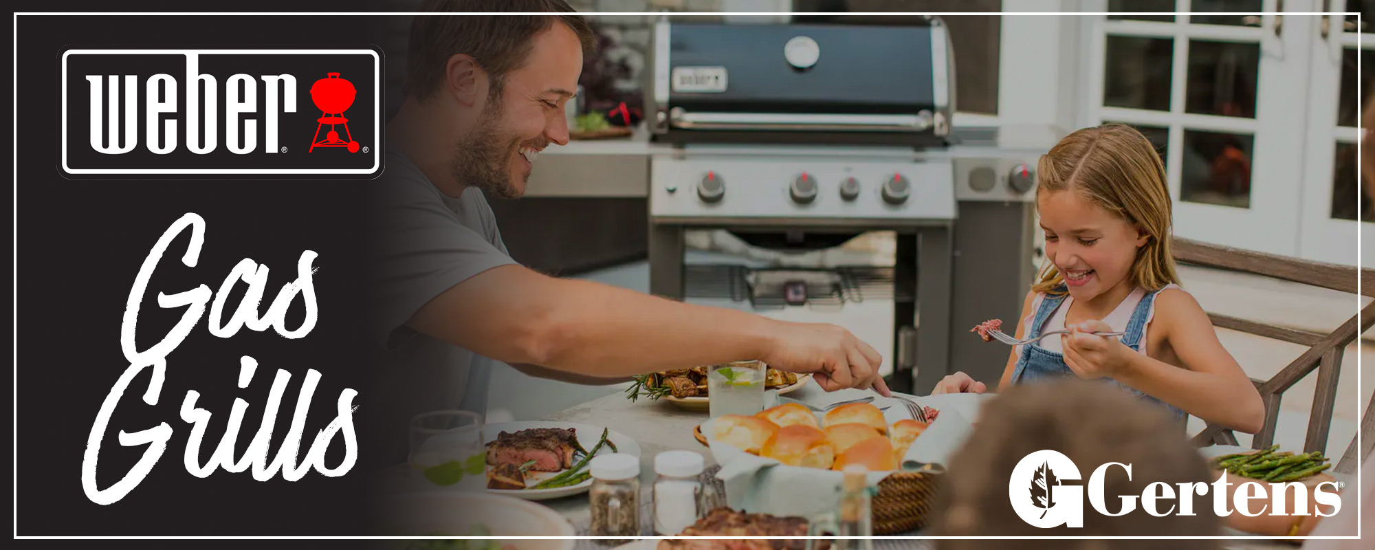 Weber Gas Grills | Q, Genesis, Summit, & Spirit Series