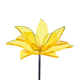 Sun Glowz Yellow Fluorescent Sundrop Flower, 18" Tall | Gertens Garden ...