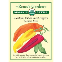 Capsicum, Sweet Pepper Mix 'Italian Sweet Peppers Sunset' Organic ...