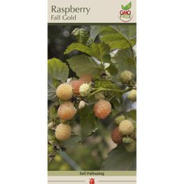 Rubus, Raspberry 'Fall Gold' | Gertens Garden Center