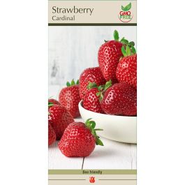 Fragaria, Strawberry 'Cardinal' | Gertens Garden Center