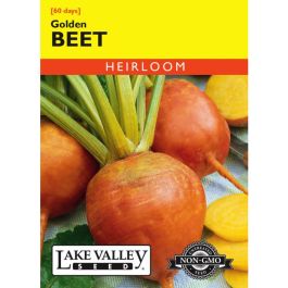 Beet Golden Heirloom | Gertens Garden Center