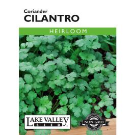 Cilantro Coriander Heirloom-Organic | Gertens Garden Center
