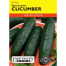 Cucumis, Cucumber 'Spacemaster' Heirloom | Gertens Garden Center
