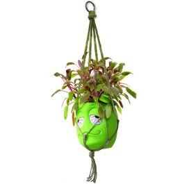 Best Buds Pot With Hanger - Multiple Styles | Gertens Garden Center