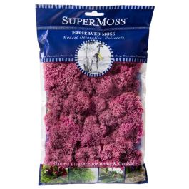 Reindeer Moss, Dusty Rose, 2 oz. | Gertens Garden Center