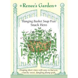 Pisum, Snap Peas (Bush) 'Snack Hero' ~ 80 seeds | Gertens Garden Center