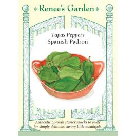 Renee's Garden, Pepper (Sweet), Tapas Peppers Spanish Padron, ~ 20 ...