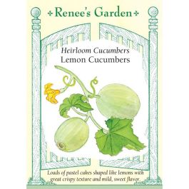 Heirloom Cucumbers Lemon Cucumbers - Renee's Garden | Gertens Garden Center