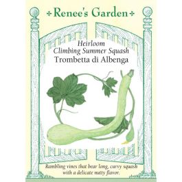 Cucurbita, Summer Squash 'Trombetta di Albenga' Heirloom~ 25 seeds ...