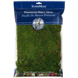 Sheet Moss, Fresh Green | Gertens Garden Center