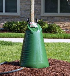 TreeGator Original | Gertens Garden Center