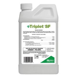 Monterey Triplet SF, 1 Quart | Gertens Garden Center