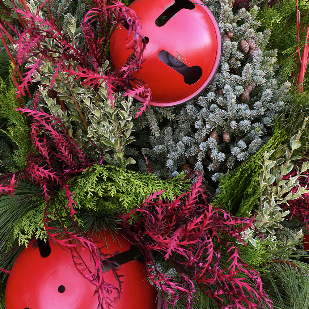 Gertens Garden Center | Home | Gertens Garden Center