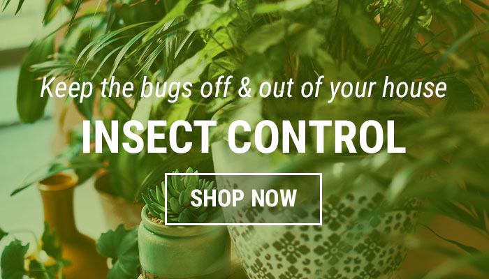 House Plant Insecticides, Fertili zers & General Care | Gertens