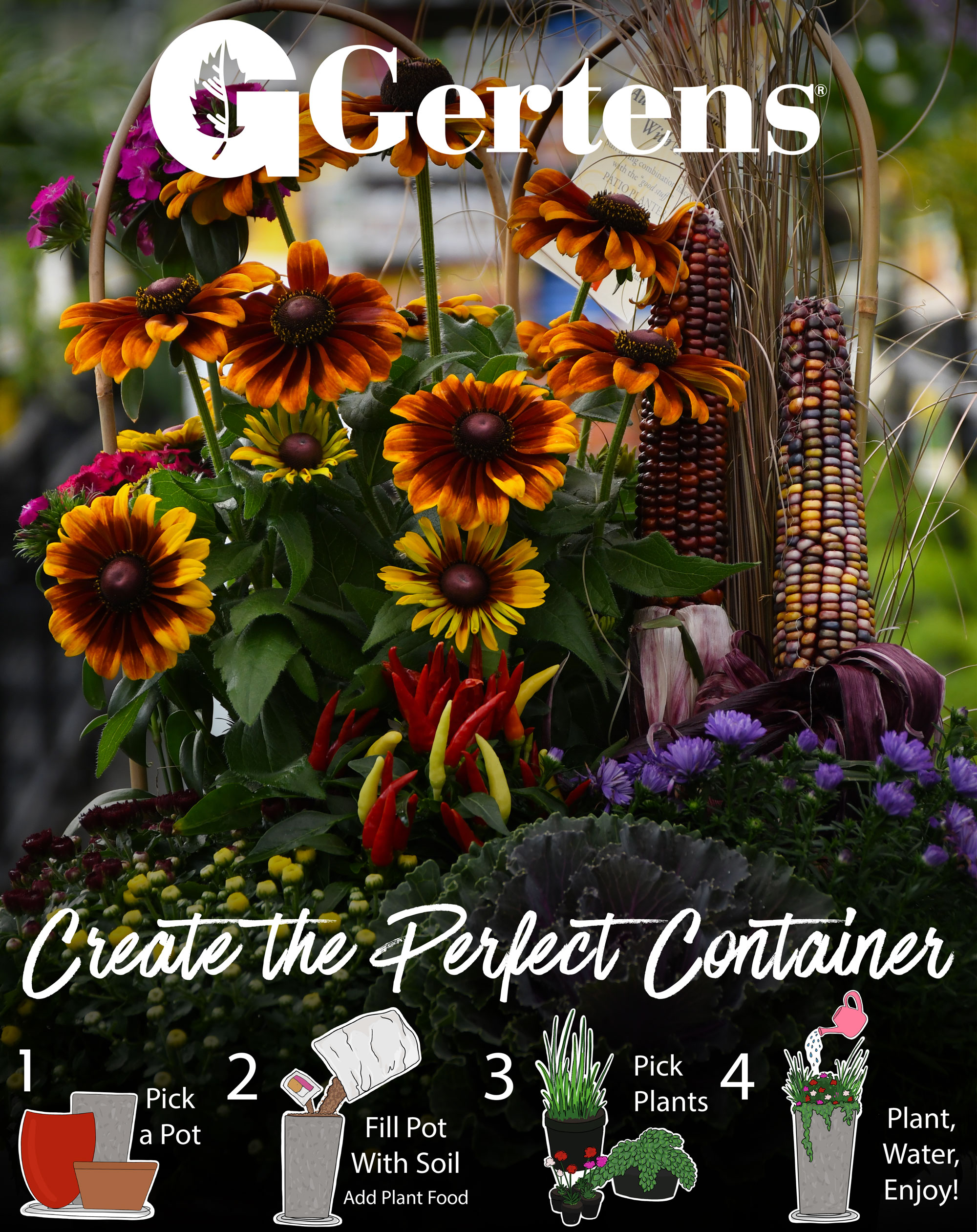 Build Your Own Fall Container | Gertens Garden Center