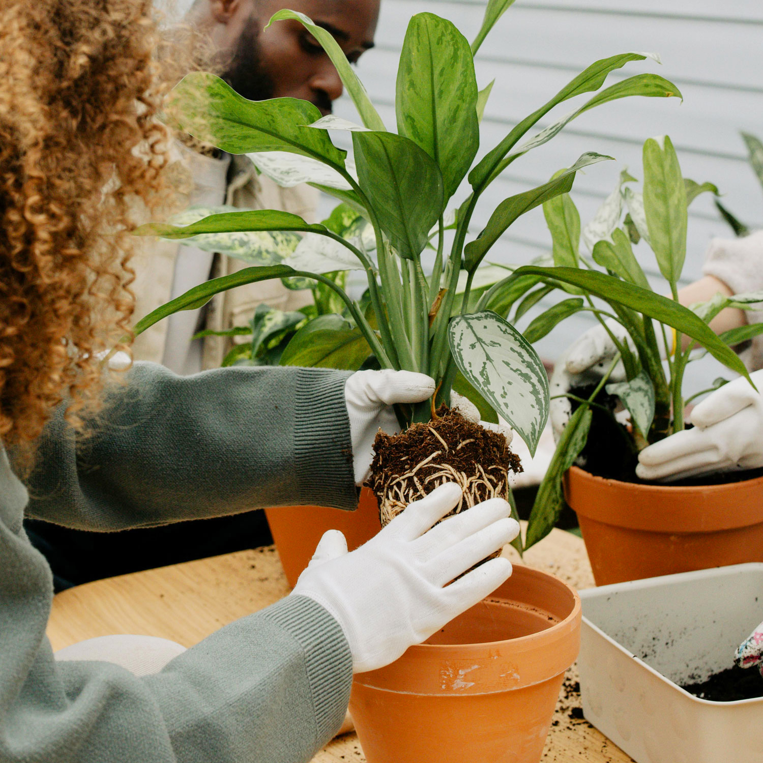 Employment | Gertens Garden Center