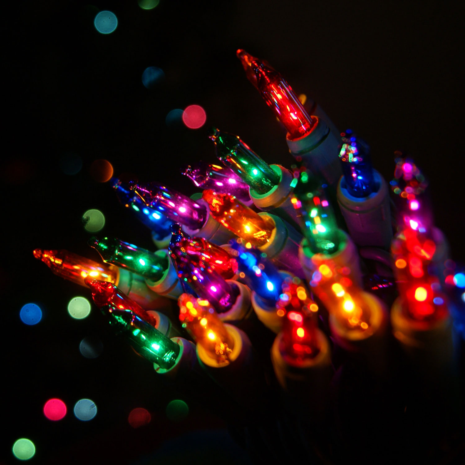 Gertens Garden Center | Home | Gertens Garden Center