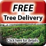 Home page [www.gertens.com]