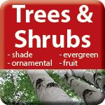 Home page [www.gertens.com]