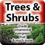 Home page [www.gertens.com]