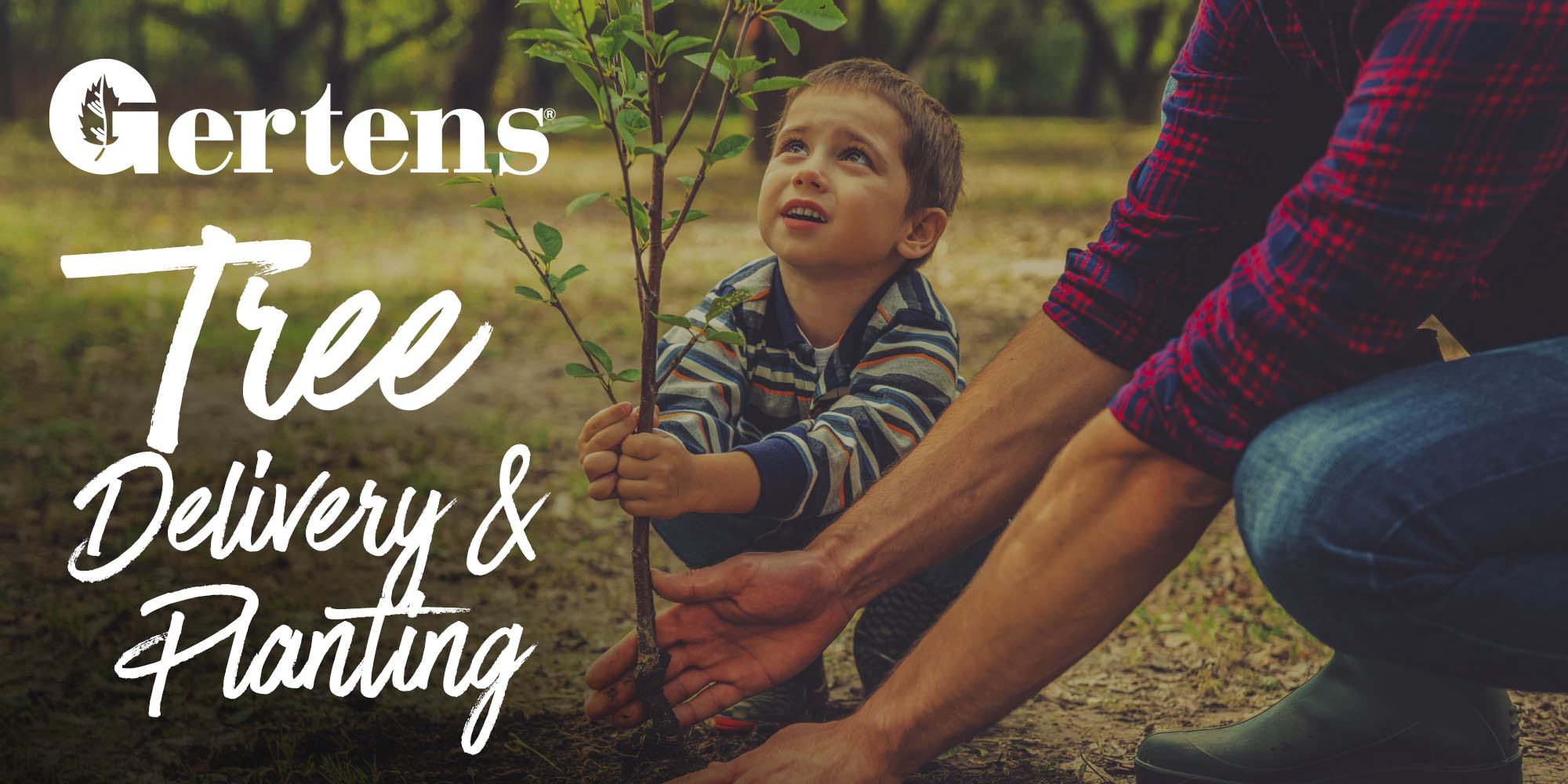 Tree Delivery and Planting Information